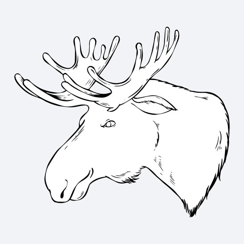 Moose Black and White Vector Images (over 2,400)