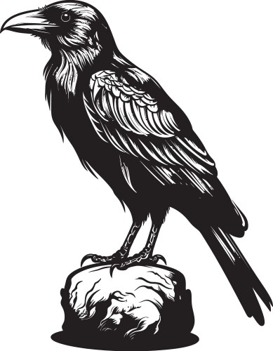 Ravens Vector Images (over 9,700)