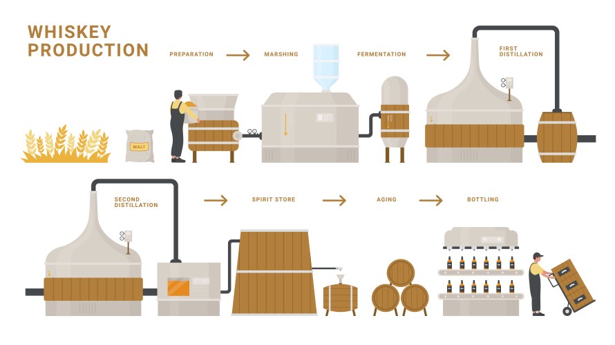 Whiskey production process distillation and aging Vector Image