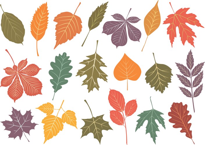 Leaves Vector Images (over 760,000)