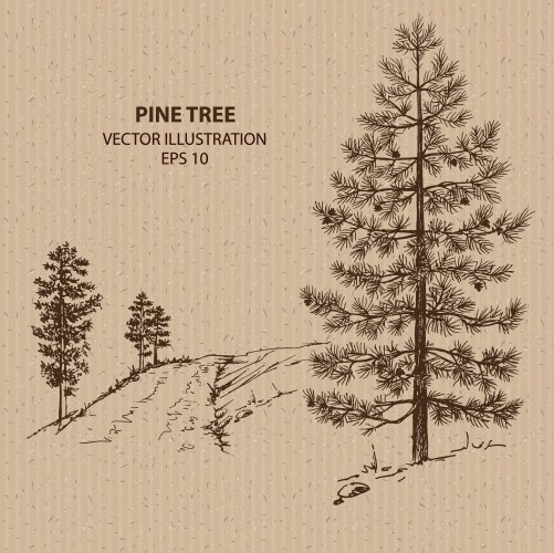 Pine Tree Vector Images (over 150,000)