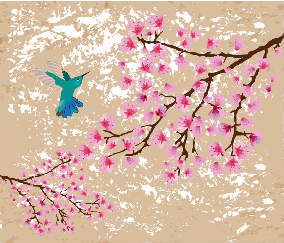Beautiful spring cherry blossom background Vector Image