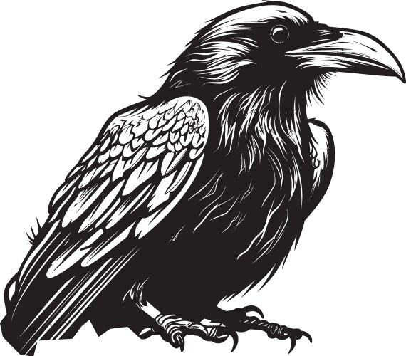 Ravens Vector Images (over 9,700)