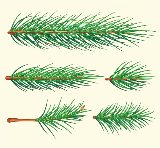 Branch Vector Images (over 640,000)