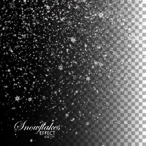 Falling snow isolated on transparent background Vector Image
