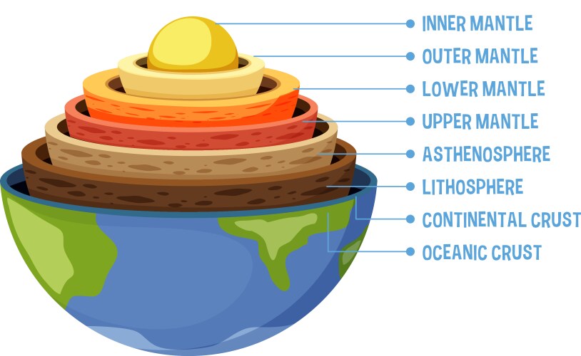Diagram showing layers of the earth lithosphere Vector Image