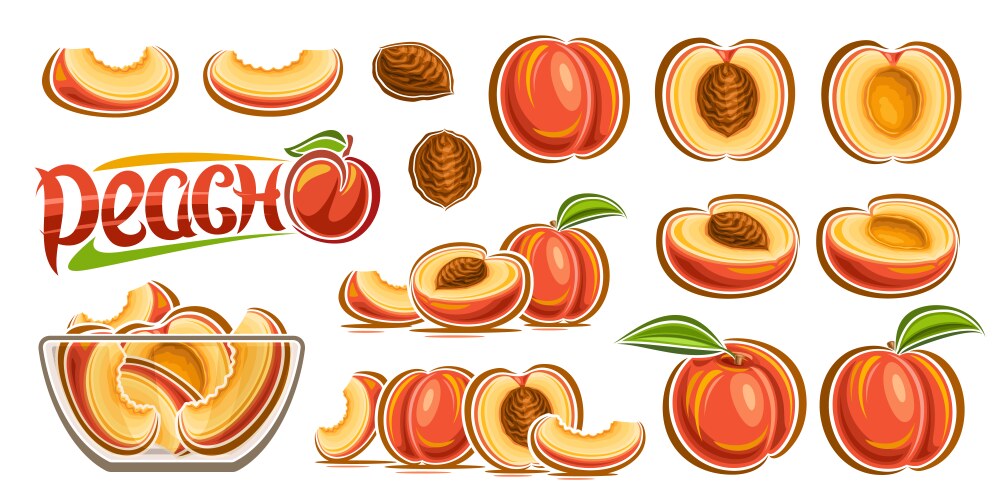 Peach Vector Images (over 40,000)