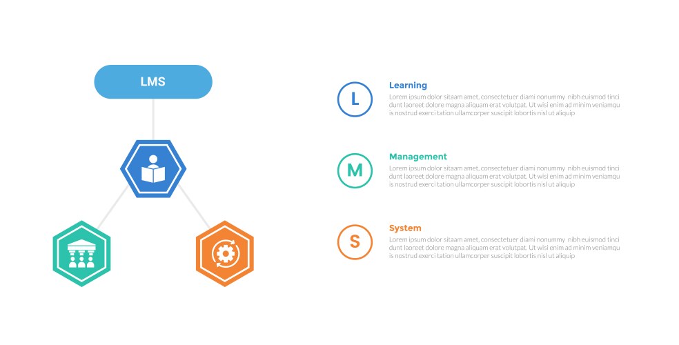 Lms learning management system infographics Vector Image
