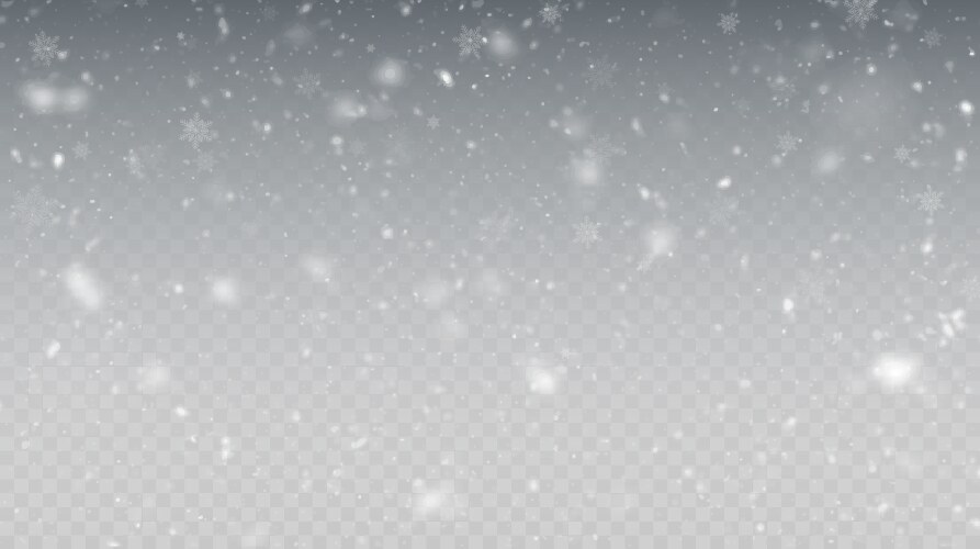 Falling snow overlay background Royalty Free Vector Image
