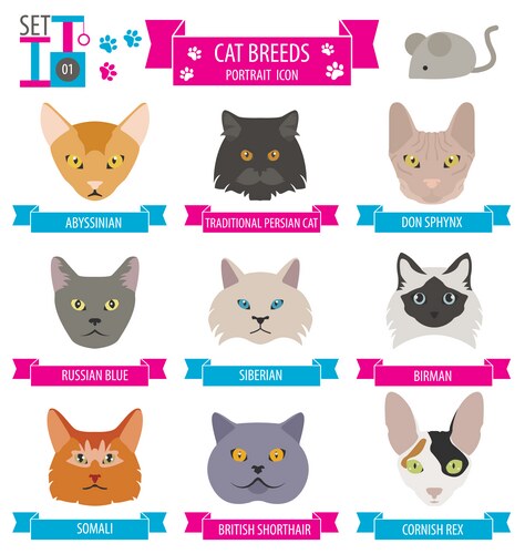 Cat breeds icon set flat style Royalty Free Vector Image