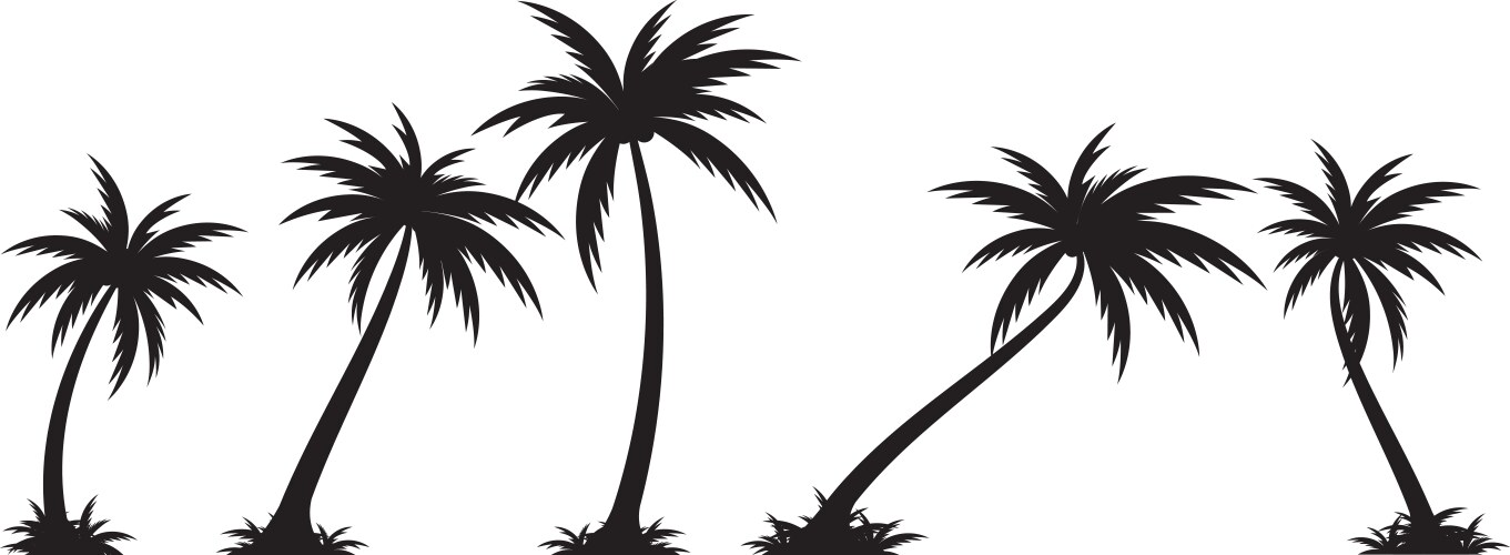 Palm Tree Vector Images (over 160,000)