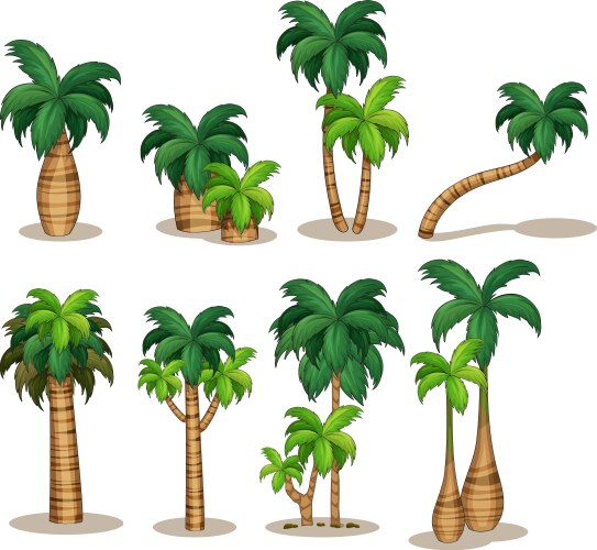 Palm Trees Vector Images (over 140,000)