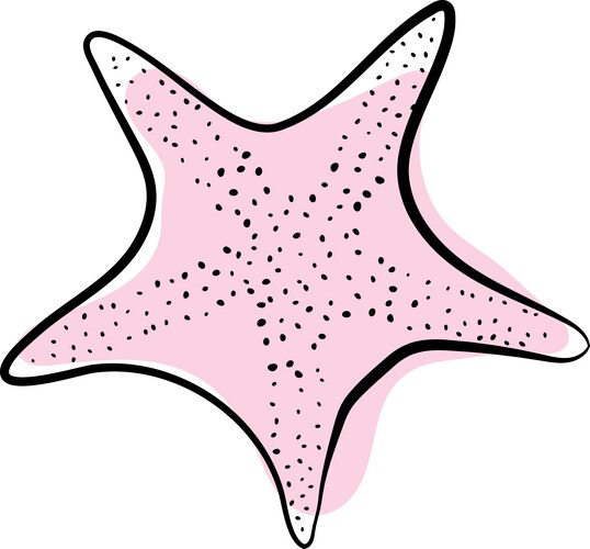 Starfish drawing Royalty Free Vector Image - VectorStock