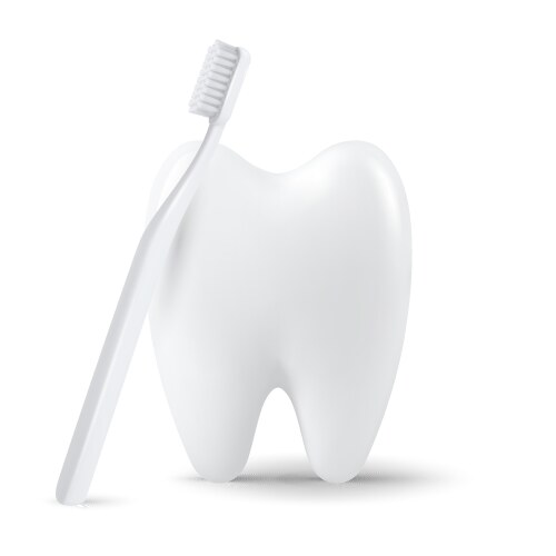 Tooth with Toothbrush Vector Images (over 27,000)