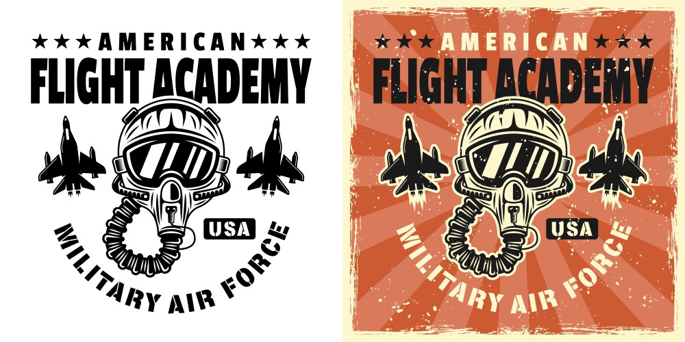 American flight academy emblem badge Royalty Free Vector