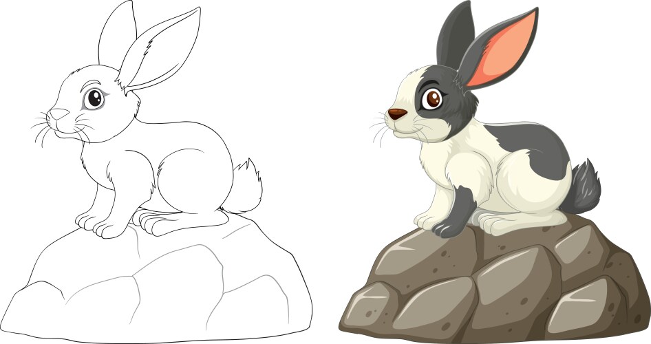 A rabbit on stone Royalty Free Vector Image - VectorStock