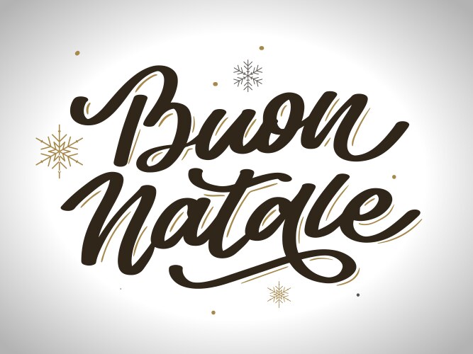 Christmasbuon natale greeting cardhandwriting Vector Image