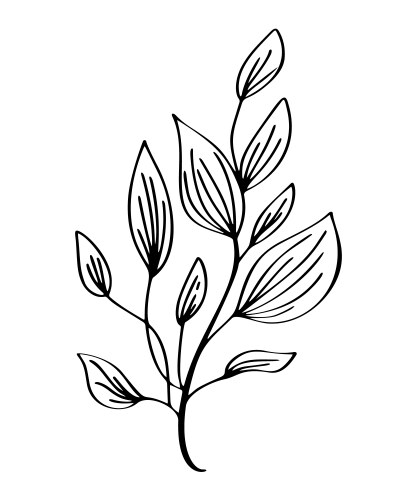 Sunflower Line Art Page Royalty Free Vector Image
