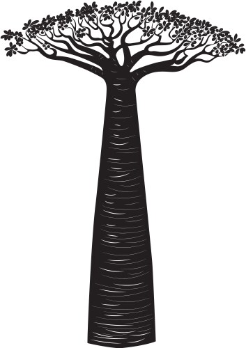 Baobab Tree Vector Images (over 2,000)