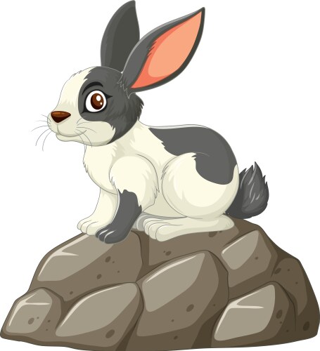 Rabbit Sitting Vector Images (over 7,000)