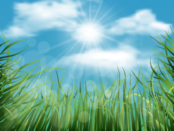 Grass glare and effect bokeh Royalty Free Vector Image