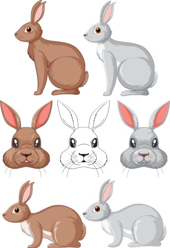 Cute rabbit cartoon character collection Vector Image