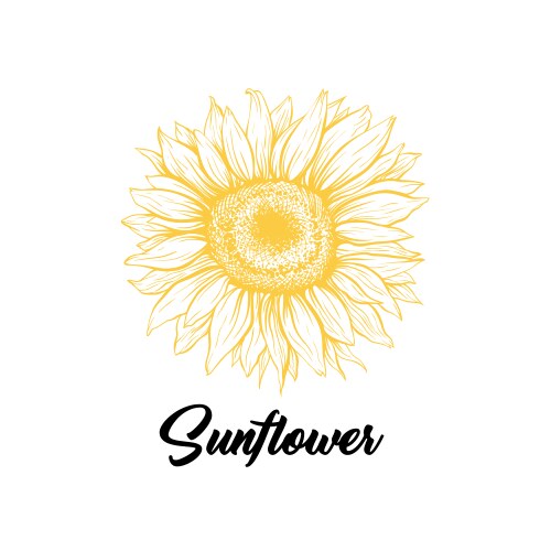 Yellow sunflower icon design Royalty Free Vector Image