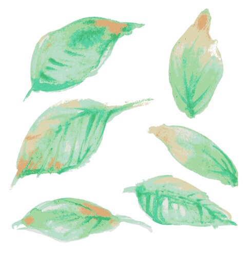 Set of spring leaves watercolor Royalty Free Vector Image