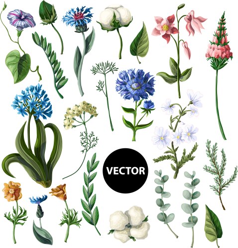 Bouquets with dahlia peonies and wild flowers Vector Image