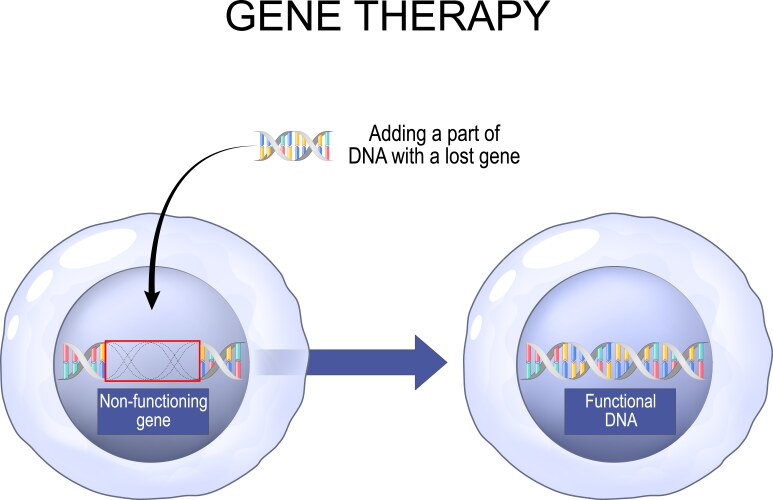Gene Therapy Vector Images (over 1,100)