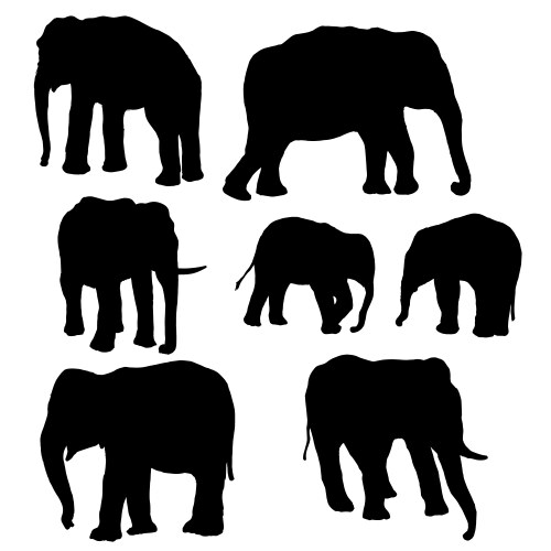 Elephant Vector Images (over 86,000)