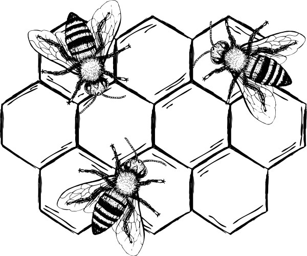 Bee Outline Vector Images (over 22,000)