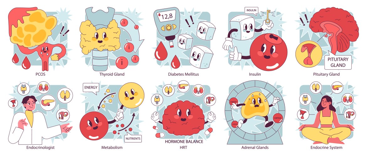 Endocrine Vector Images (over 4,500)