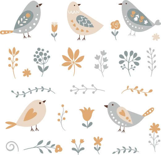 Birds and flowers Royalty Free Vector Image - VectorStock
