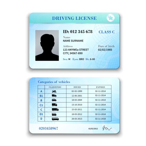 Driver license Royalty Free Vector Image - VectorStock