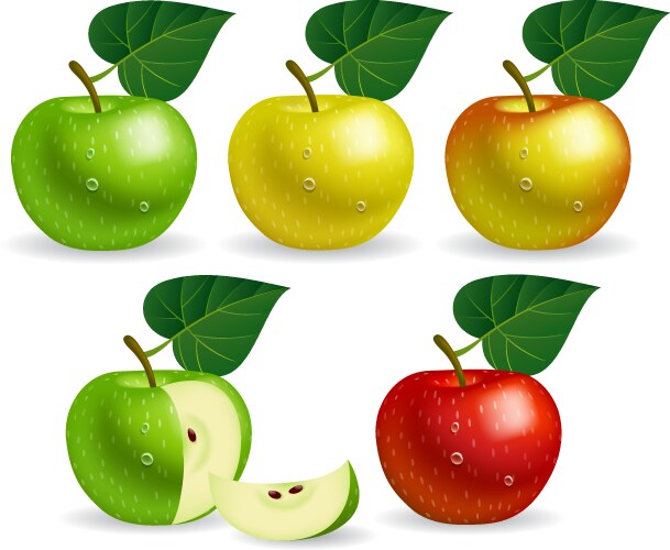 Apple Vector Images (over 220,000)