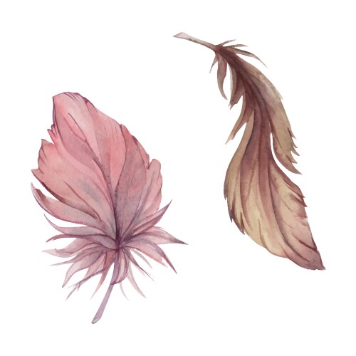 Watercolor Feather Logo Vector Images (over 370)
