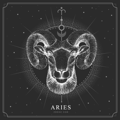 Aries zodiac Royalty Free Vector Image - VectorStock