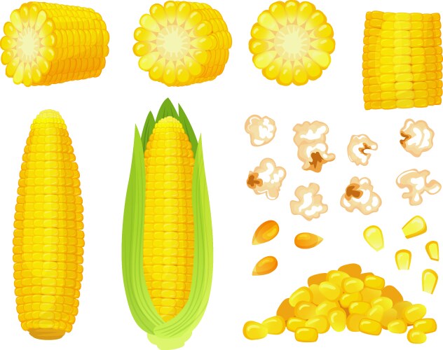 Corn Cartoon Vector Images (over 22,000)