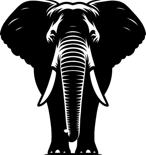 Elephant front facing silhouette isolated Vector Image