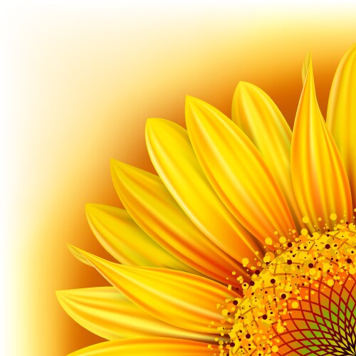 Sunflower Vector Images (over 53,000)