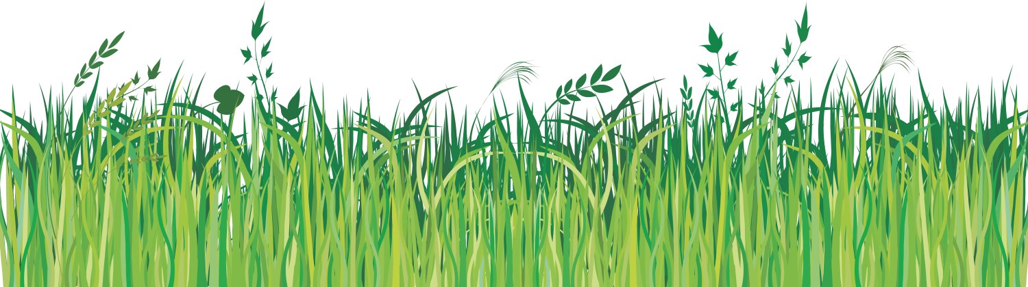 Super realistic grass Royalty Free Vector Image