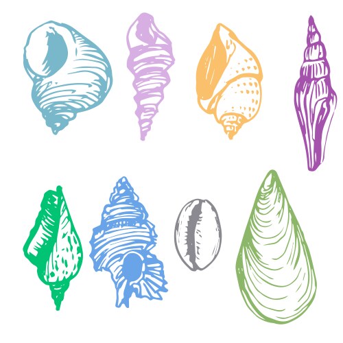 Set of beautiful sea shells Royalty Free Vector Image