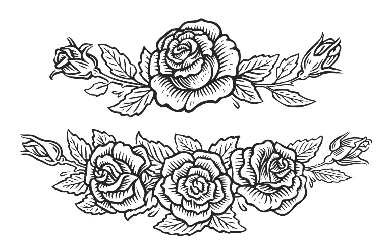 Rose Floral Border Vector Images (over 27,000)