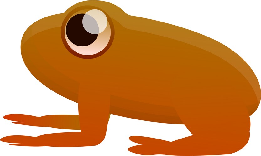 Red Eye Tree Frogs Vector Images (over 150)