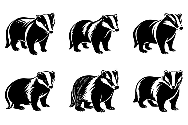 Badger Vector Images (over 3,500)