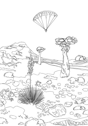 Trees of Socotra Island Vector Images (50)