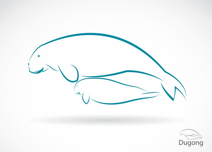 Dugong Vector Images (over 300)