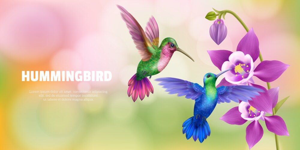 Hummingbird Vector Images (over 10,000)