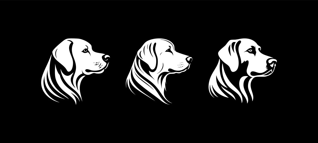 Black Labrador Logo 2,239 Black Labrador Puppy Stock Photos, High Res